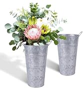 Amazon.com: 12 Inch Galvanized Metal Vases with Handles - 2 Pcs ...