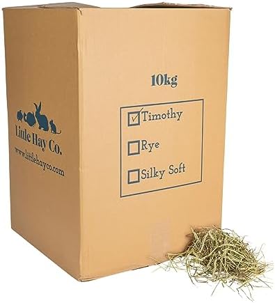 Little Hay Co Pure Timothy Hay | Eco Box | Clean, Green, Fresh ...