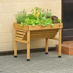 Amazon.com: VegTrug Mini Wall Hugger - Natural : Patio, Lawn & Garden