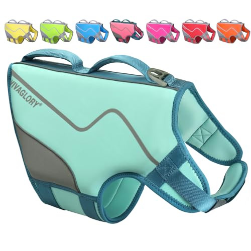 Dog Pfd – The 15 best products compared - Wild Explained