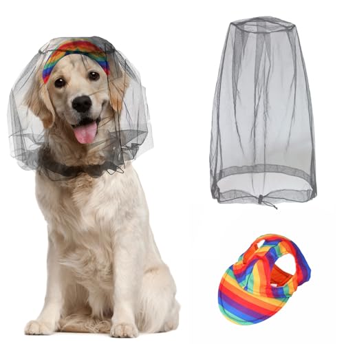 Foxtail Dogs – The 15 best products compared - Wild Explained