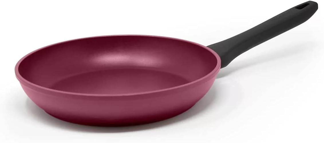 PADERNO CLASSIC NON-STICK FRY PAN 26 cm (10") : Amazon.ca: Home