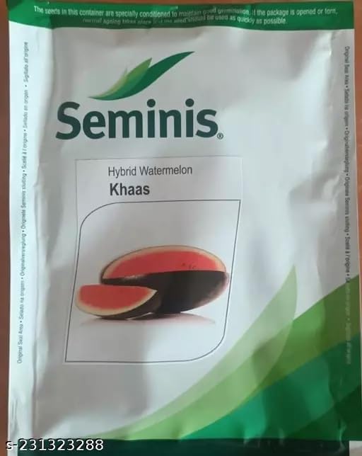SEMINIS Hybrid Watermelon Khaas Seeds Home Gardening Vegetable Seeds ...
