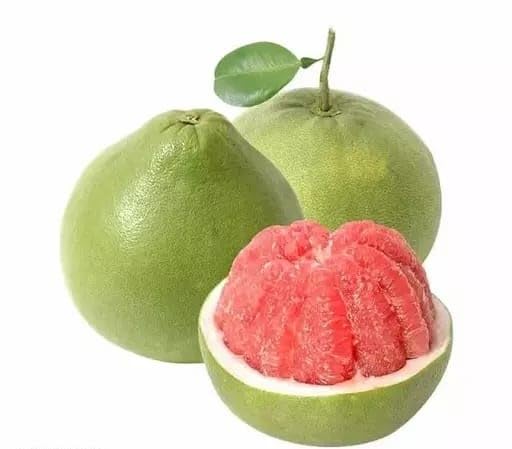 SANJU Lemon Big Citrus Limon Chakotra Batabi Lebu Pomelo Grape Fruit ...