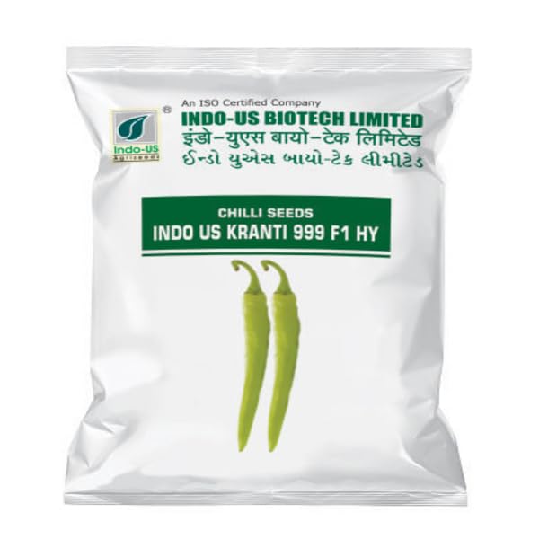 INDO-US Kranti 999 F1 Hybrid Chilli Seeds (Mirchi ke Beej) : Amazon.in ...