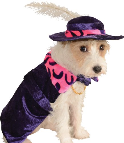Unleash Your Pup's Inner Don with these Top 10 Dog Mobster Costumes: A ...