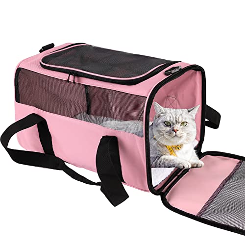 Cat Load – The 15 best products compared - Wild Explained