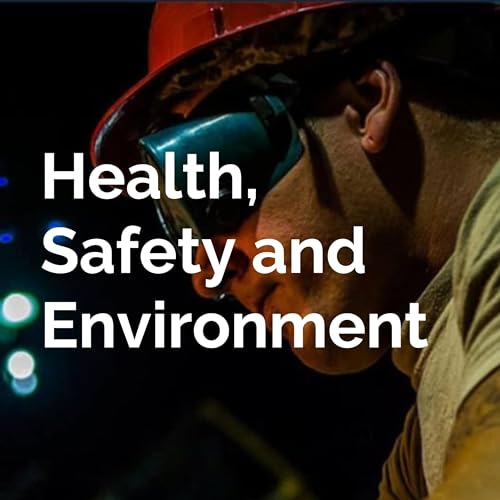 Health, Safety, and Environment : Gabriel Atencio: Amazon.co.uk ...