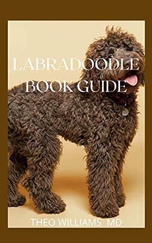 LABRADOODLE BOOK GUIDE: Effective Guide To Selecting, Training, Feeding ...