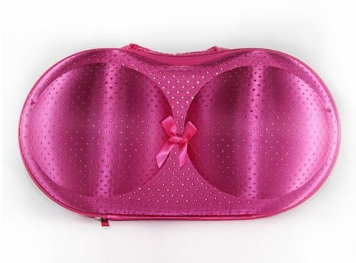 Buy Storage Bag Box Protect Bra Organizer Container Underwear Case ...