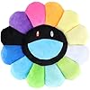 Amazon.com: SNEPOO Smile Face Plush Rainbow Pillow, Sunflower Indie ...