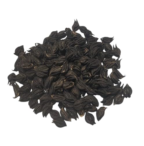 Natural Sacred Bat Head Root Seeds/Garuda Kayi/Kokki Mullu - Baghnokhi ...