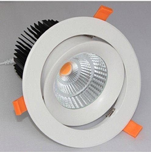 Light Concept COB Downlight Designer Movable (10 Watts) : Amazon.in ...