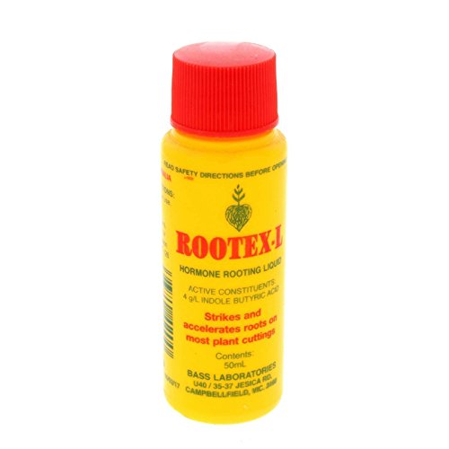 Amazon.com.au Best Sellers: The most popular items in Plant Root ...