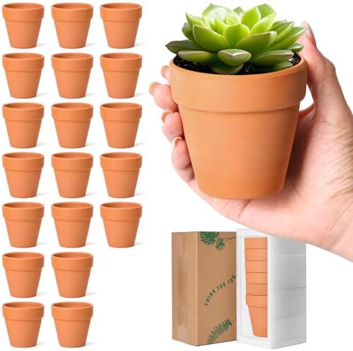 Amazon.com: Lallisa 36 Pieces 3 Inch Mini Terracotta Pots with Saucers ...