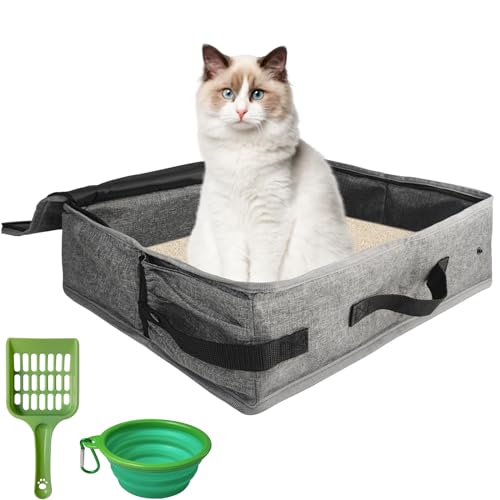 Cat In The Box – Los 15 mejores productos comparados - Wild Explicado