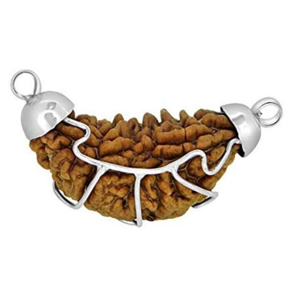 Gemstone Industry Genuine Ekamukhi Rudraksha Original Certified Kaju ...