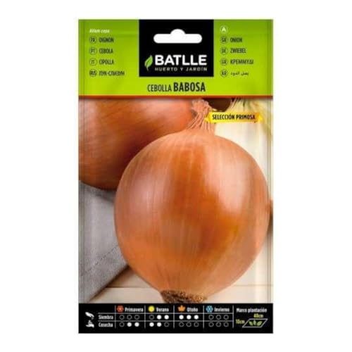 Semillas de Cebolla Babosa sel Primosa: Guía para su cultivo y ...