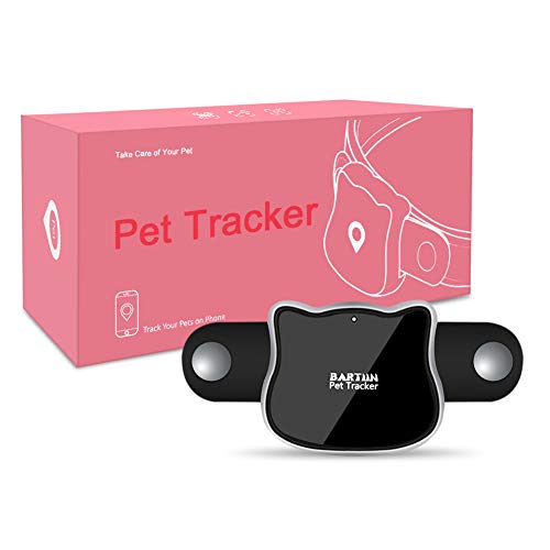 Best Dog Trackers: GPS Trackers for Dogs