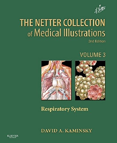 Amazon.co.jp: Netter Collection of Medical Illustrations: Respiratory ...