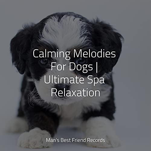 Play Sleep Sounds For Dogs | Relaxation by Official Pet Care Collection ...