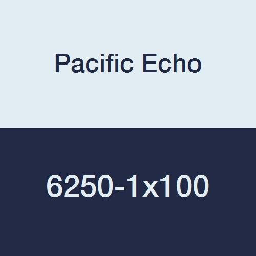 Pacific Echo 6250-1x100 PVC SPIRALITE 6250 Braided Clear Corrugated Food Grade Hose, 400 psi ...