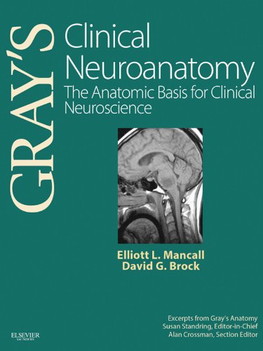 100 Best Neuroanatomy Books of All Time - BookAuthority