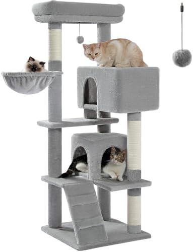Amazon.com : Taoqimiao Cat Tree, 62.2-Inch Cat Tower for Indoor Cats ...
