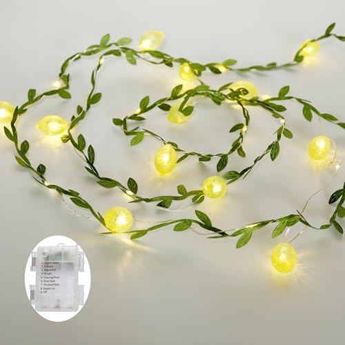 Amazon.com: Lemon Decor String Lights Battery Operated Light String ...