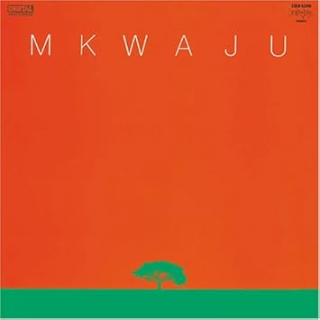 Mkwaju Ensemble (Joe Hisaishi) - Mkwaju - Music