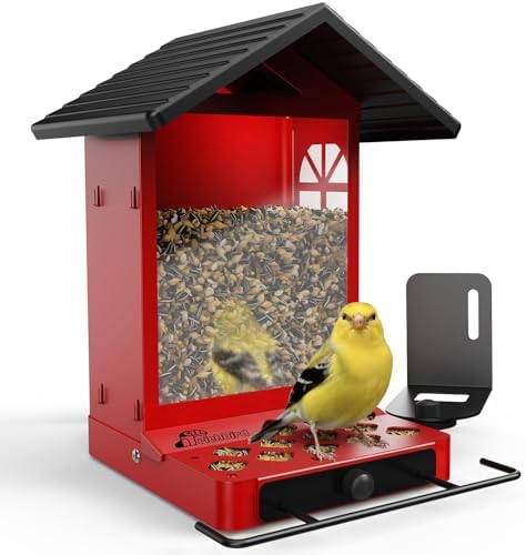 Amazon.com : Richbird All-Metal Bird Feeder, Wall & Pole Mountable, 2 ...