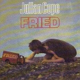 Fried: Amazon.co.uk: CDs & Vinyl