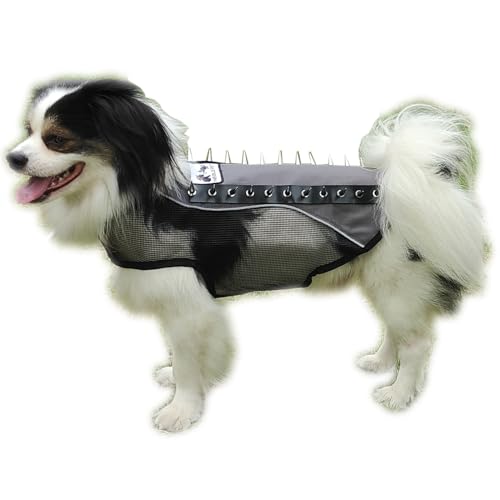 Dog Spike Vest – The 15 best products compared - Wild Explained