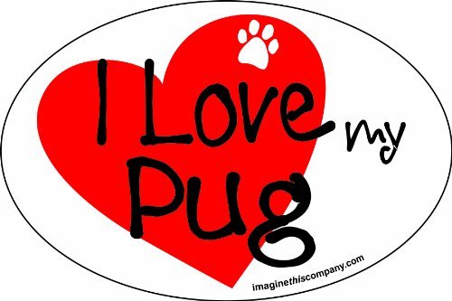 Amazon.com : Imagine This 4-Inch by 6-Inch Car Magnet Heart Oval, Pug ...