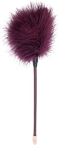Amazon.com: Filo Premium Feather Tool - Luxurious Purple Feather ...