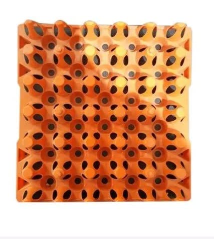 Buy R B G Engineering Egg Trays for Storage with 30 Eggs Holder, Egg ...