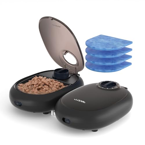 Automatic Wet Food Feeder – The 15 best products compared - Wild Explained