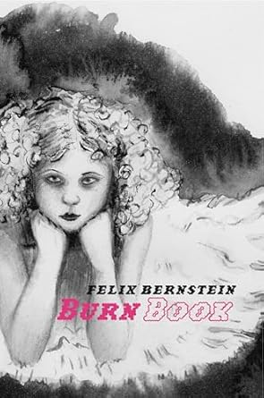 Burn Book: Bernstein, Felix: 9781937658427: Amazon.com: Books