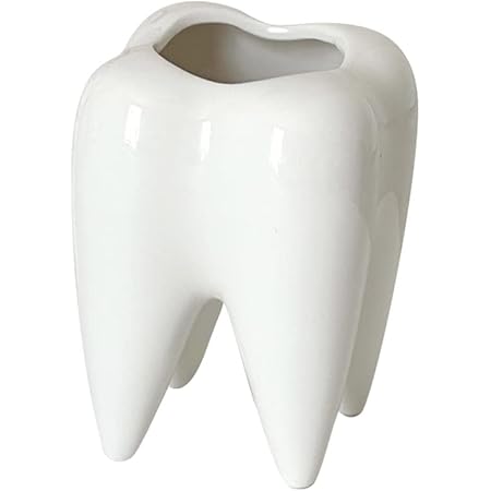 Amazon.com: Vitbunana Tooth-Shaped Toothbrush Holder, Ceramic ...