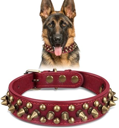 Amazon.com : Spiked Leather Dog Collar with Bullet Rivets, Soft and ...