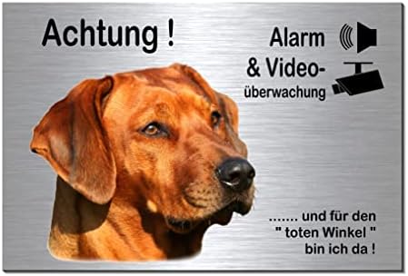 Rhodesian Ridgeback-Alarm + Videoüberwachung-Hund-Schild-Hundeschild ...