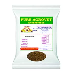 PURE AGROVET ENTERPRISES Alfalfa / Lucerne / Kuthiraimasal / Rajka ...
