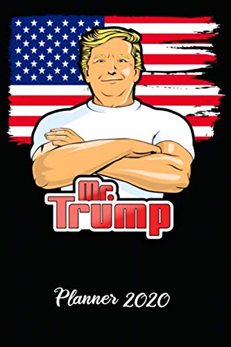 Mr. Donald Trump President of USA with great American Flag a beautiful ...