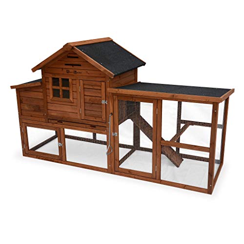 Les 6 meilleures cages à cailles pour un élevage à domicile