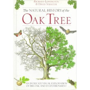 The Natural History of the Oak Tree An Intricate Visual Exploratio n of ...