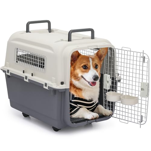 Amazon Best Sellers: Best Dog Hard-Sided Carriers