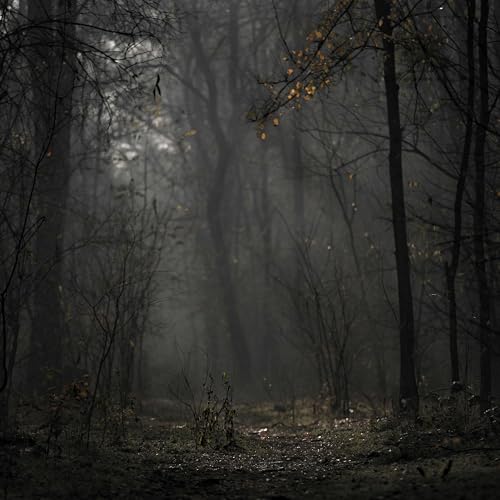 Play Dark Autumn by Jamshid Kurdi on Amazon Music
