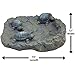 Amazon.com: PGI Traders Decorative Turtle Splash Block | Gutter ...