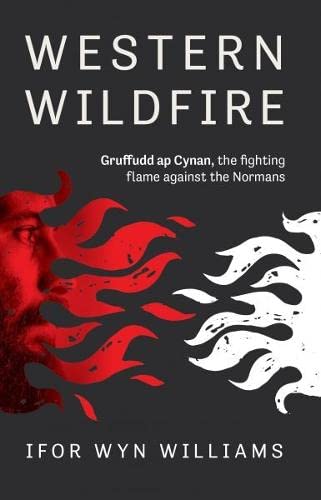 Western Wildfire: Gruffudd Ap Cynan, The Fighting Flame Against the ...