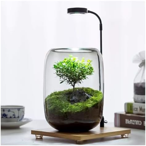 Amazon.com: Glass Plant Terrarium with LED Light Plants Containers ...